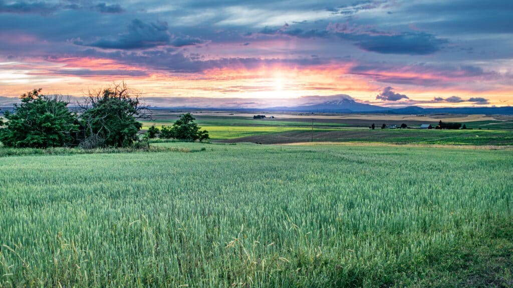 Funding Resources Leads - Partners for Rural Washington